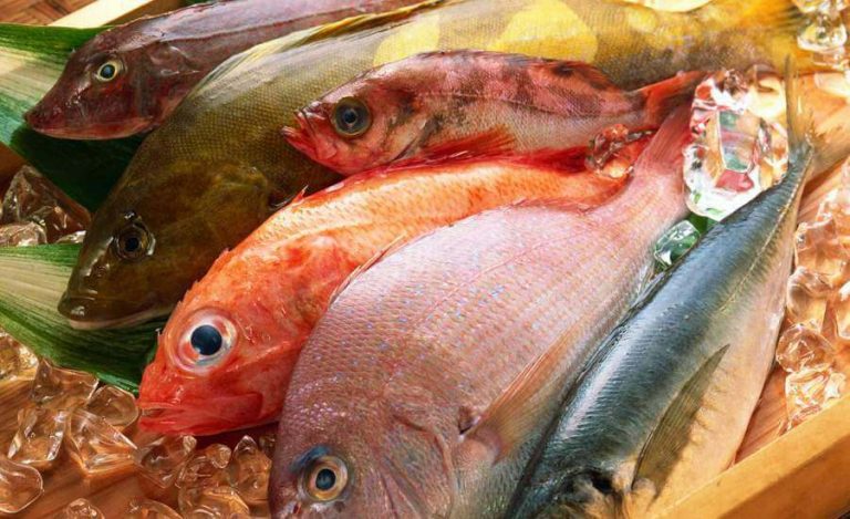 Peixes-frescos-Foto-51-WALL-900x550-05-01-2016 - Piscicultura: Tudo que ...